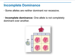 Non-Mendelian Genetics | PPT