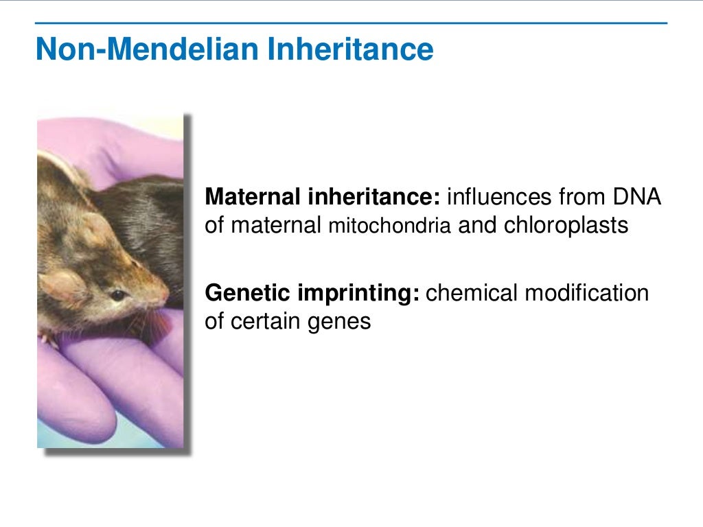 Non-Mendelian Genetics