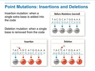 Insertion Mutation