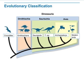 Evolutionary Classification | PPT