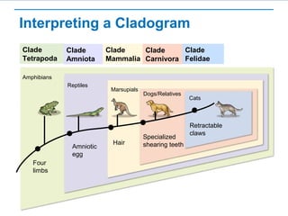 Evolutionary Classification | PPT