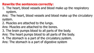 man the living machine a science project | PDF