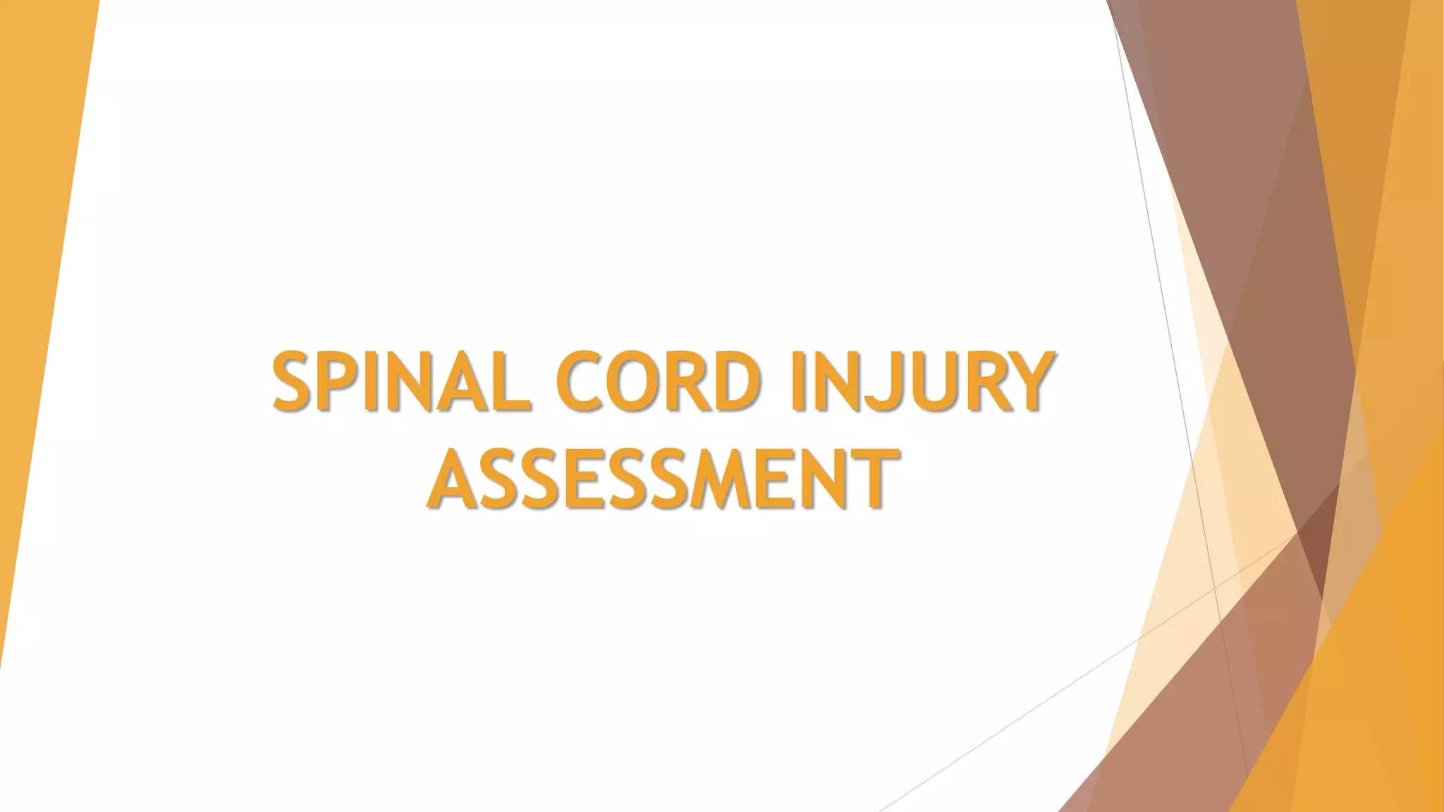 Spinal Cord Injury 2 | PPT