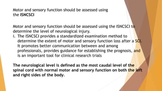 Spinal Cord Injury 2 | PPT