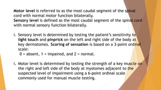 Spinal Cord Injury 2 | PPT