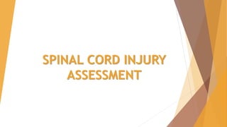Spinal Cord Injury 2 | PPT