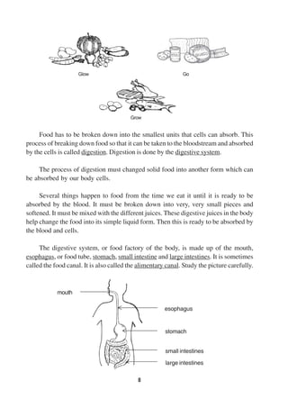 Sci 20 The 20 Digestive 20 System 20and 20 How 20to 20keep 20 It 20 ...