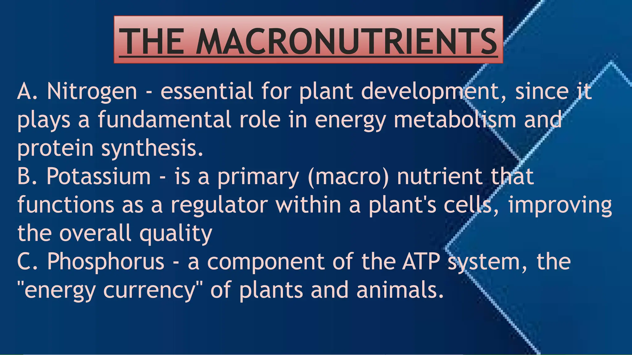 SCI 218 - BIOLOGY - PLANT NUTRITION.pptx
