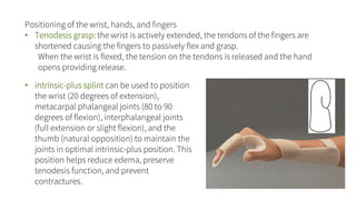 Spinal Cord Injury 3 | PPT