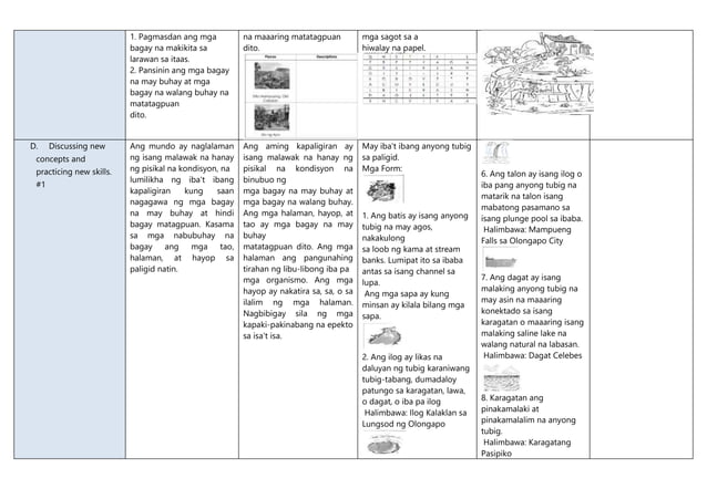 science quarter 4 week 1 daily lesson log | DOC