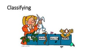 sci 4 basic process skills.pptx | Science