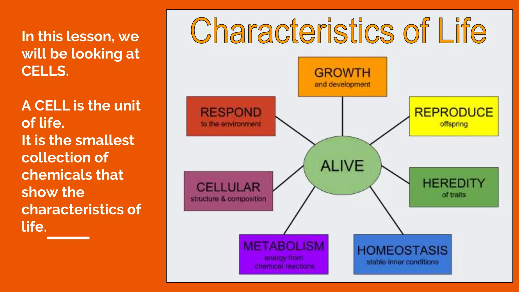 Sci4 lesson cell drawing | PPTX | Drawing and Sketching | Arts and Crafts