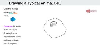 Sci4 lesson cell drawing | PPTX | Drawing and Sketching | Arts and Crafts
