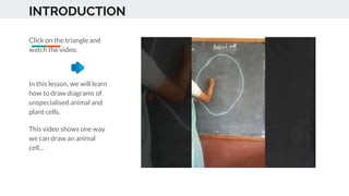 Sci4 lesson cell drawing | PPTX | Drawing and Sketching | Arts and Crafts