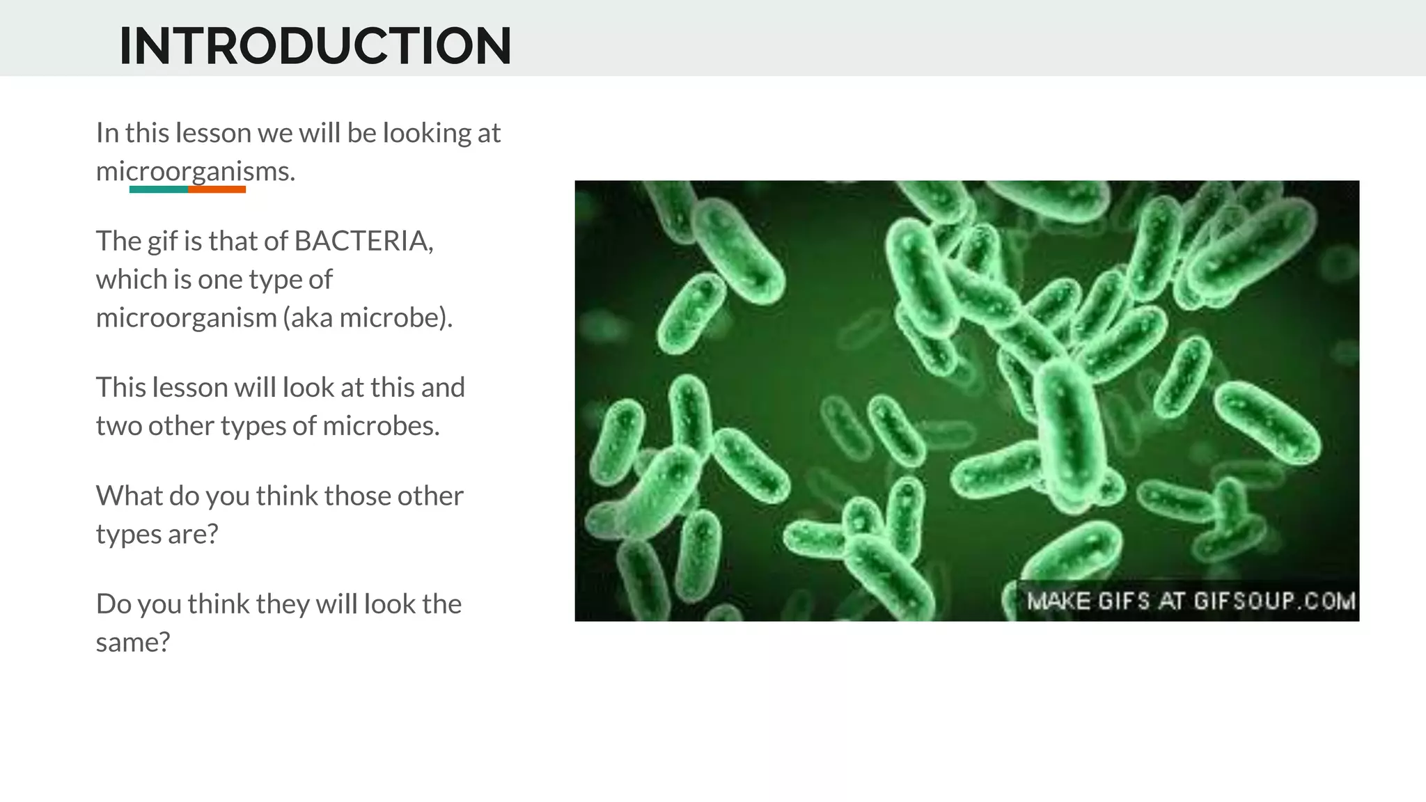 Sci4 lesson types of microbes | PPTX