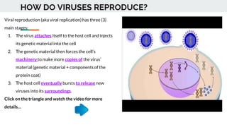 Sci4 lesson types of microbes | PPTX | Infectious Diseases | Diseases ...