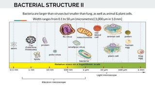 Sci4 lesson types of microbes | PPTX | Infectious Diseases | Diseases ...