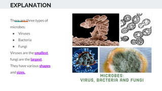 Sci4 lesson types of microbes | PPTX | Infectious Diseases | Diseases ...