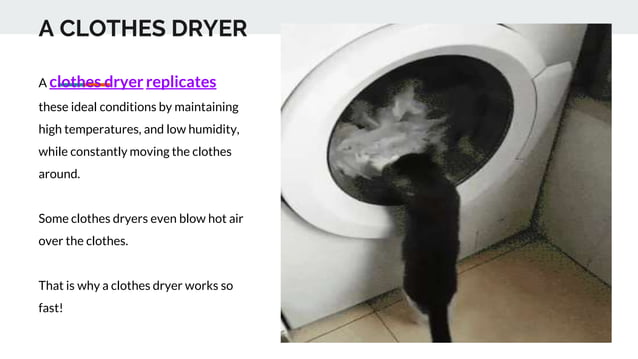 Sci5 lesson evaporation drying | PPT