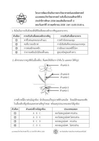 วิทยาศาสตร์ ป 6 แนวข้สอบสำหรับเด็ก sci6_58.pdf