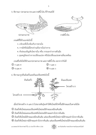 วิทยาศาสตร์ ป 6 แนวข้สอบสำหรับเด็ก sci6_58.pdf
