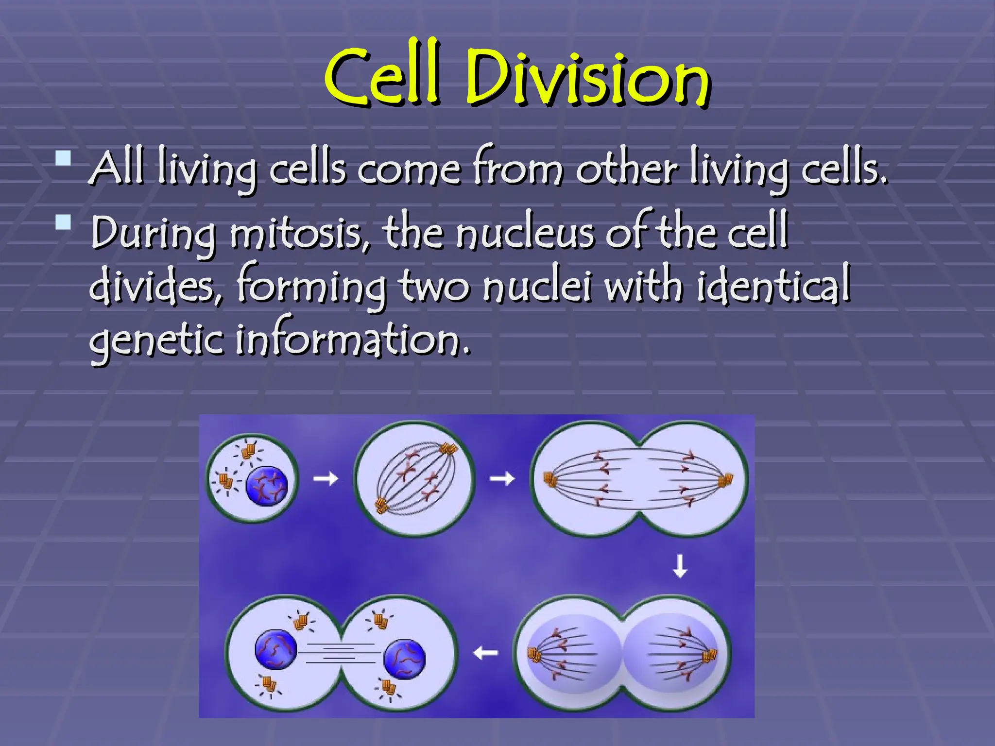grade 7 science 7 second quarter cell division | PPT