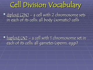 grade 7 science 7 second quarter cell division | PPT
