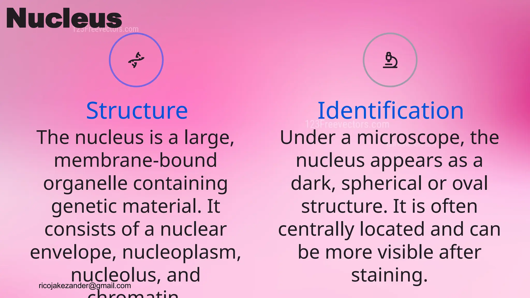 sci 7 q2 2 Use proper techniques in observing and identifying the parts ...