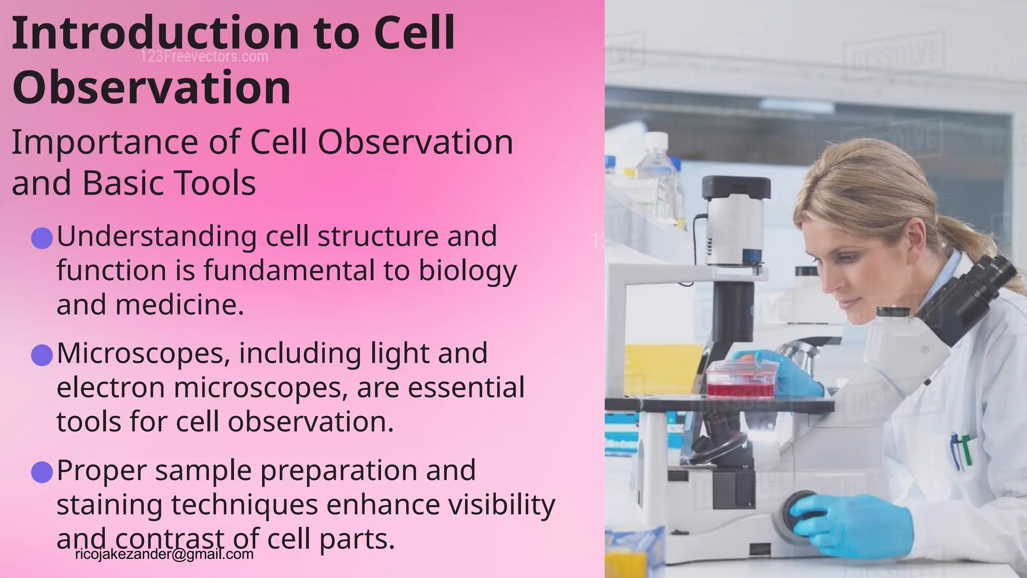 sci 7 q2 2 Use proper techniques in observing and identifying the parts ...