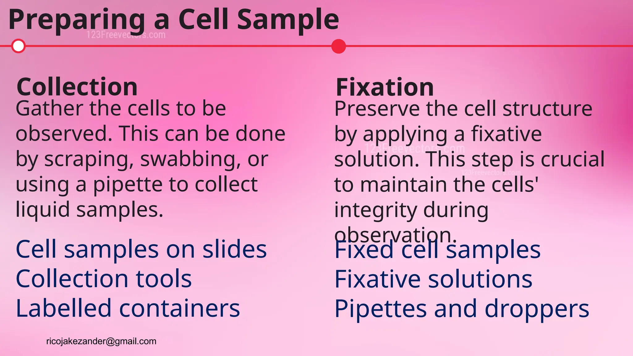 sci 7 q2 2 Use proper techniques in observing and identifying the parts of a cell .PPT