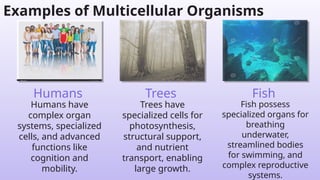 sci 7 q2 3 recognize that some organisms .PPT