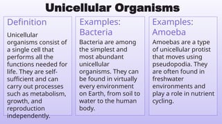sci 7 q2 3 recognize that some organisms .PPT