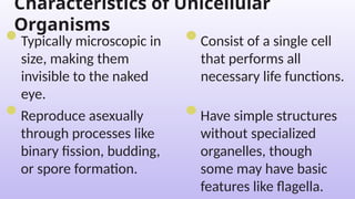 sci 7 q2 3 recognize that some organisms .PPT
