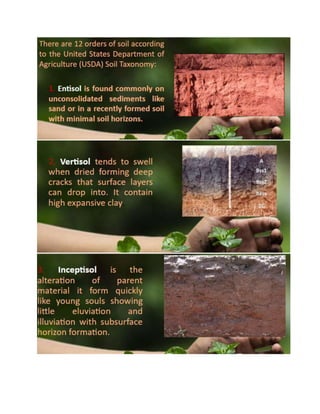 12 Orders of Soil.docx