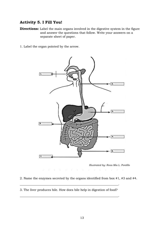 SCI8-Q4-MOD1.pdf | Digestive Disorders | Diseases and Conditions