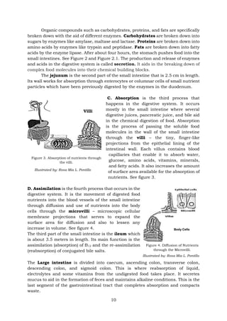 Grade 8 Science Module 1 4th Quarter Digestive system | PDF