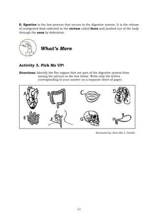 Grade 8 Science Module 1 4th Quarter Digestive system | PDF
