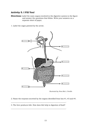 Grade 8 Science Module 1 4th Quarter Digestive system | PDF
