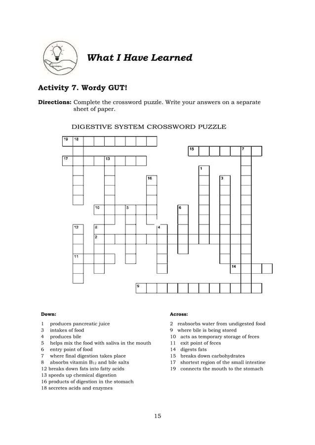 Grade 8 Science Module 1 4th Quarter Digestive system | PDF