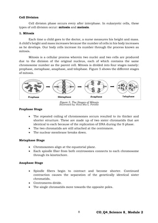 Grade 8 Science Module 2 Quarter 4 Cellular Reproduction | PDF