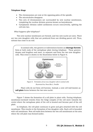 Grade 8 Science Module 2 Quarter 4 Cellular Reproduction | PDF
