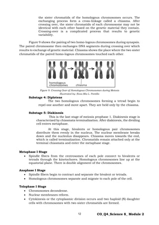 Grade 8 Science Module 2 Quarter 4 Cellular Reproduction | PDF
