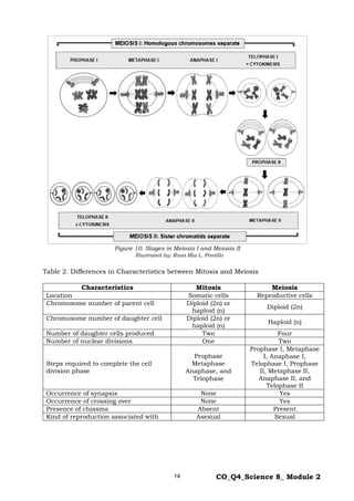 Grade 8 Science Module 2 Quarter 4 Cellular Reproduction | PDF