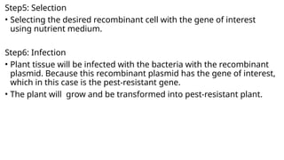 SCI9-Genetic Engineering and Biotechnology.pptx