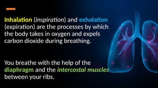 SCI 9 - Q1 - Lesson 1.A - Respiratory System.pptx