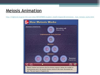 Sci 9A Lesson 5 April 7 - Meiosis | PPT