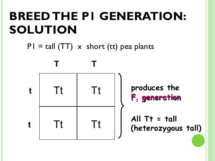 Sci 9A Lesson 1 Mar 14 - Introduction to Genetics