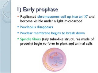 Sci 9 Lesson 2 Feb 23 - Ch 5.1 Mitosis | PPT