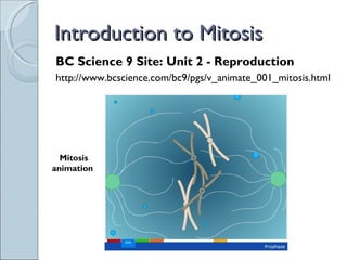 Sci 9 Lesson 2 Feb 23 - Ch 5.1 Mitosis | PPT
