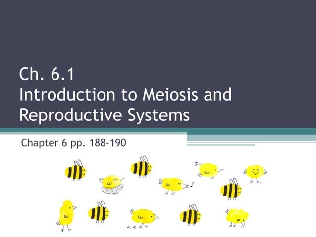 Sci 9 Lesson 3 April 4 - Introduction to Meiosis and Reproductive ...